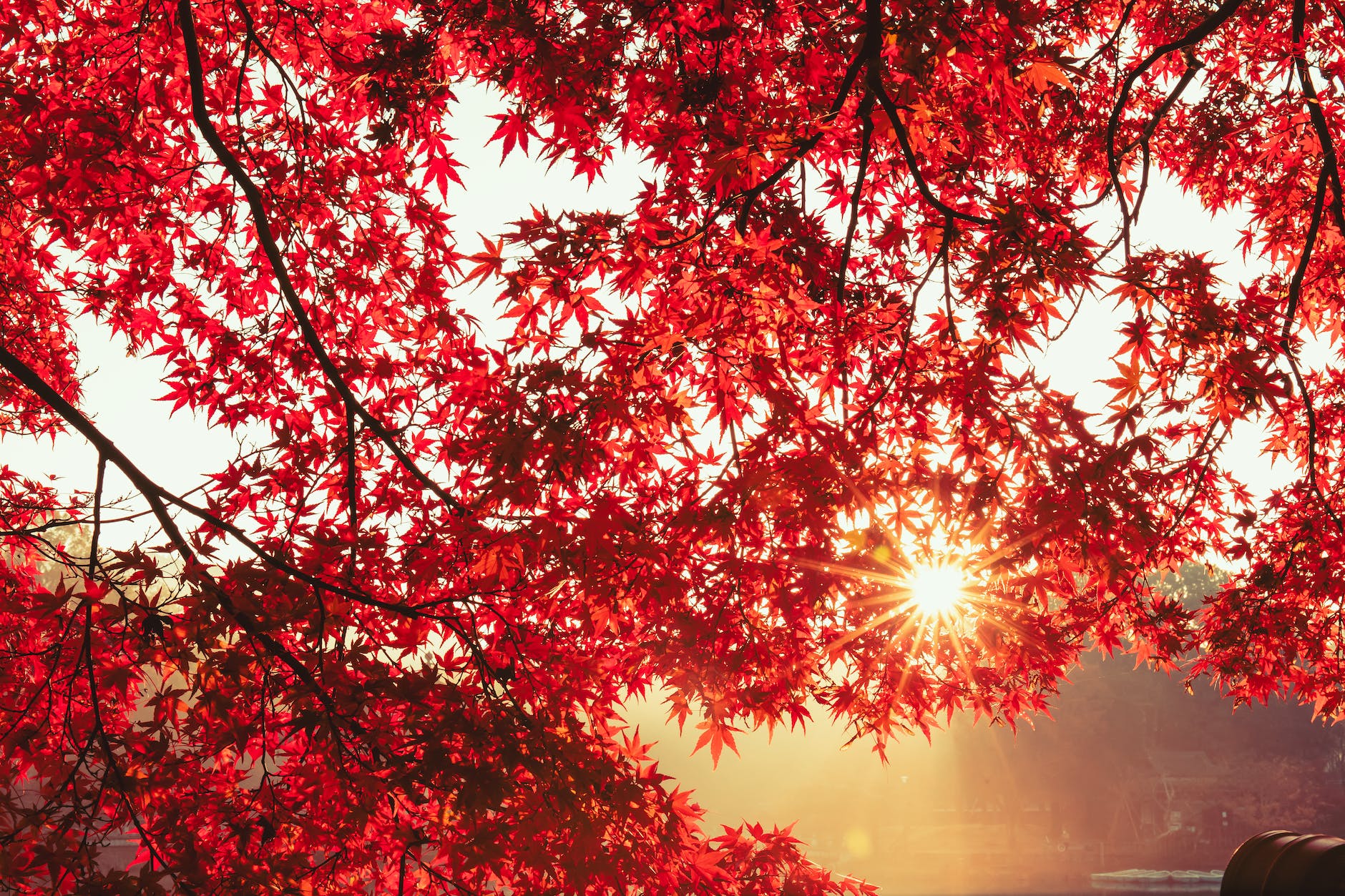 A reflection for Ordinary Time, Fall 2022 – Pax Christi USA